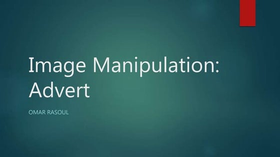 Image manipulation record | DOCX