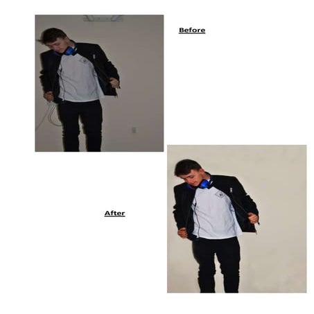 Image manipulation record | DOCX