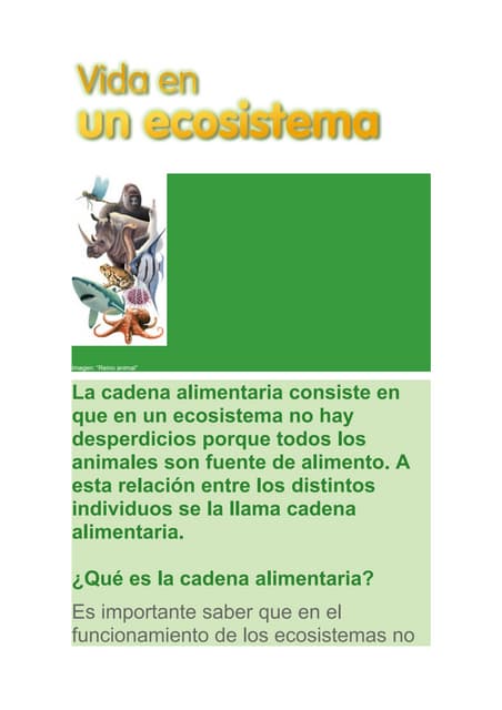 Cadena alimenticia- | PPT