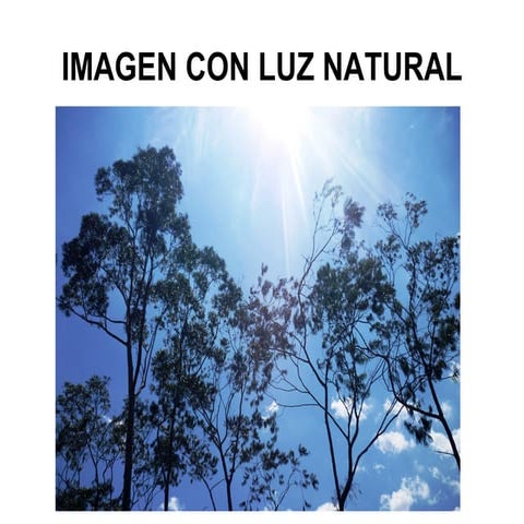 La luz | PPT