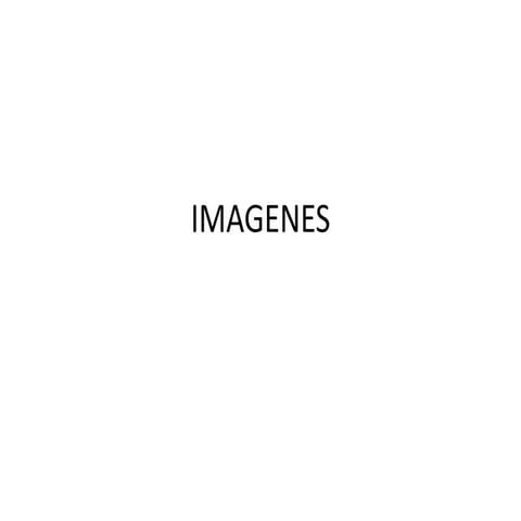 Characteristics Of An Ideal Partner | PDF