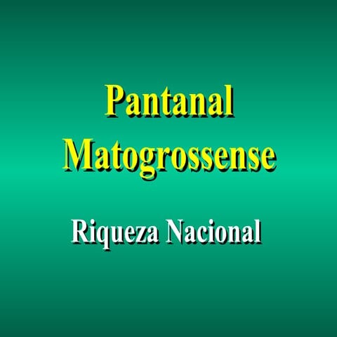Imagens Pantanal | PPS