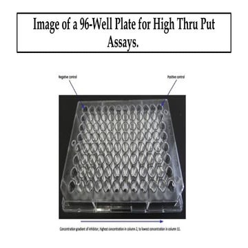 Image of a 96-Well Plate for High Thru.pptx