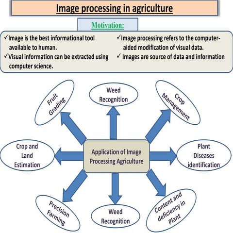 Image processing in agriculture.pptx