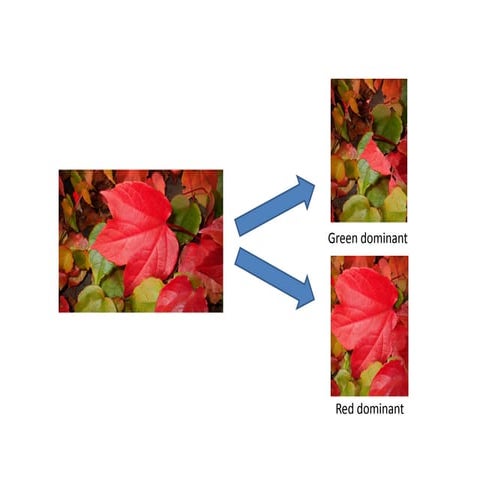 Image Retargeting With Personal Saliency Map Ppt