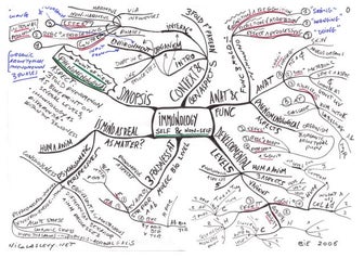 Mind maps pathology skin | PPT