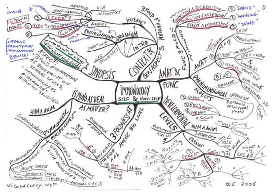 Mind maps pathology skin | PDF