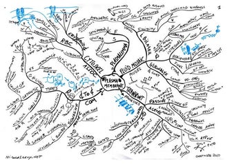 Mind maps pathology skin | PPT