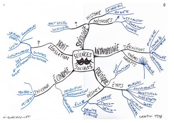 Mind maps pathology skin | PDF