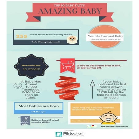 Top 10 Amazing Baby Facts | PDF | Children\'s Health | Healthy Living