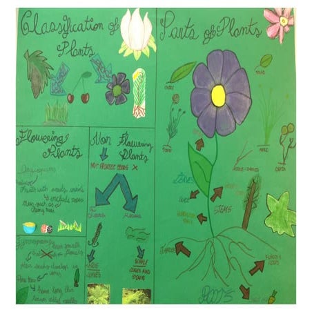 English Project. Discover the plants. Murals. | PDF