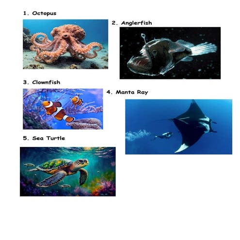 Marine Animal Images showing the variety of marine lives.pdf
