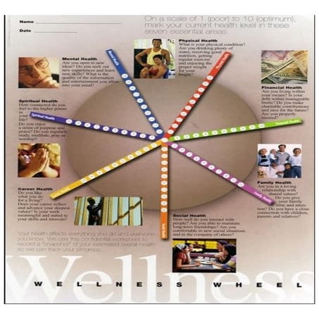 Wellness wheel | PDF