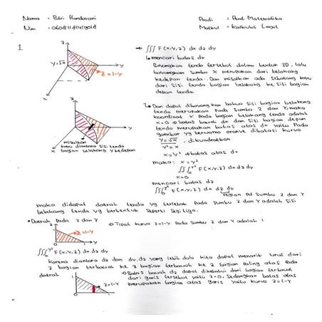 Triple Integral | PDF