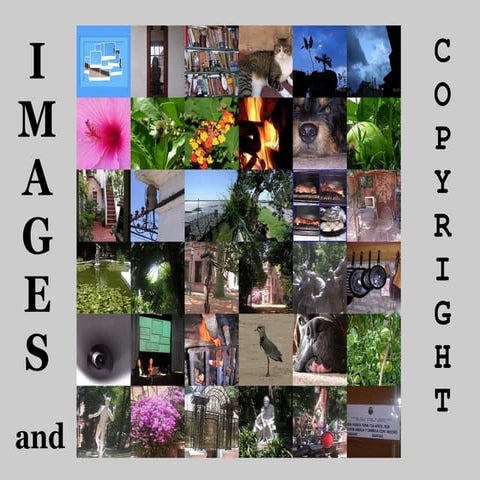 Images and copyright | PPT