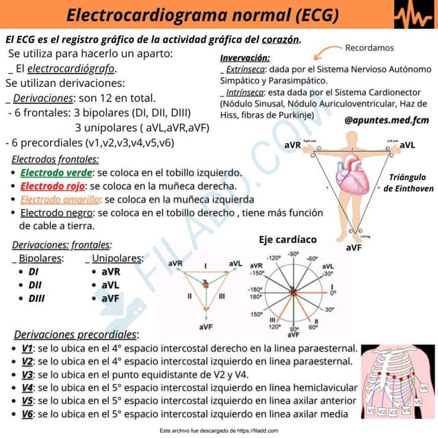 Resumen de generalidades de Electrocardiograma | PDF