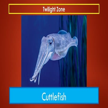 Images of Ocean Animal.pptx This PPT helps studentts learn about the ...