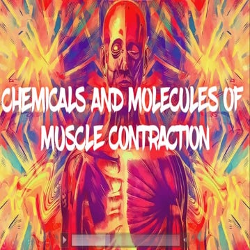 Ultrastructure of skeletal muscle | PPTX