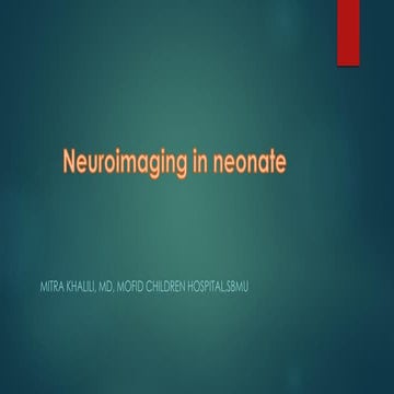 imaging in neonatal brain.pdf recommendation the use of mri brain of ...