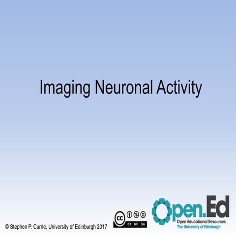 Imaging neuronal activity 2017 | PPTX