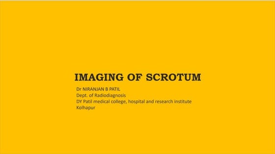 Anatomy of the scrotum | PPTX | Infertility | Reproductive Health