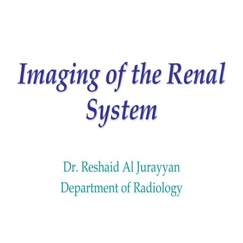 Renal vascular anatomy | PPTX
