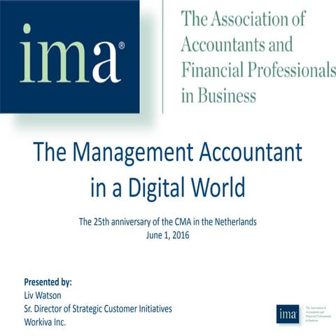 The Management Accountant in a Digital World | PDF