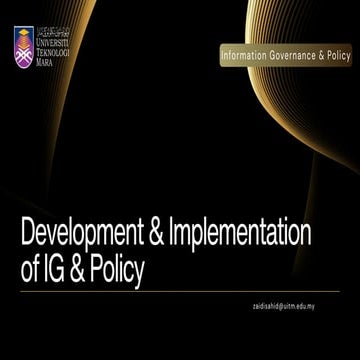 Development & Implementation of Information Governance & Policy | PDF
