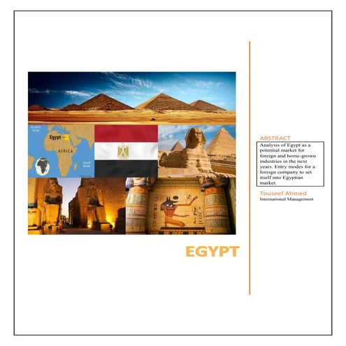 Egypt as a potential market for foreign and home-grown industries | PDF