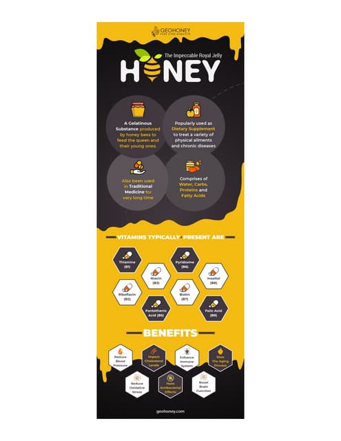 Interesting facts about Bee Hive | PDF