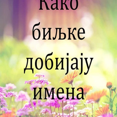 Gradja biljaka | PPTX