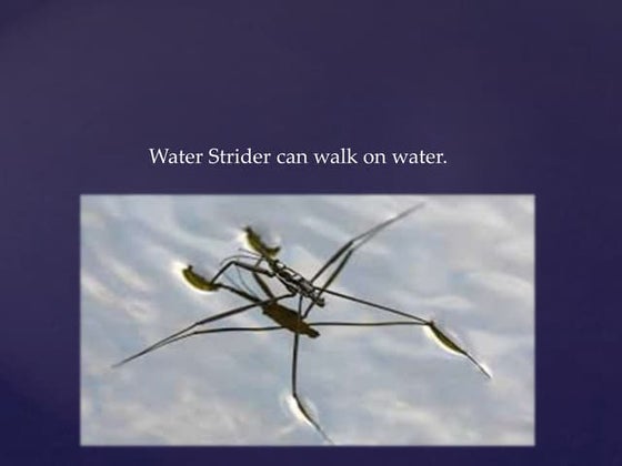 Intermolecular Forces | PPTX | Chemistry | Science