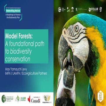 Model Forests. A foundational path to biodiversity conservation | PPT