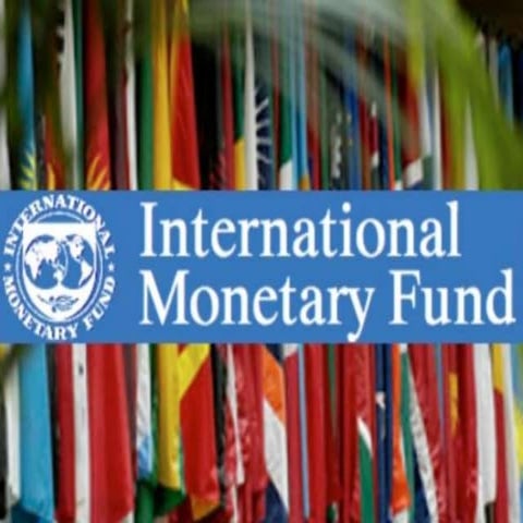 IMF International Monetary Fund | PPTX | Business | Business and Finance
