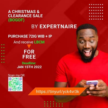 EXPERTNAIRE AFTER-CHRISTMAS (BOGOF) SALE | PDF