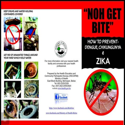 Belize Garifuna Timeline | PPTX