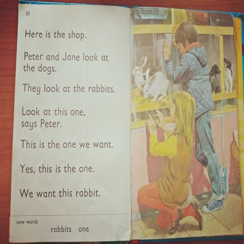 Peter and Jane 3a | PDF