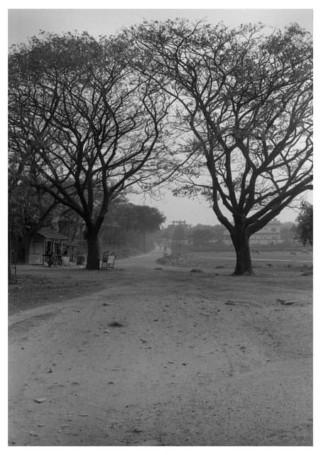 Stepping Stone | PDF