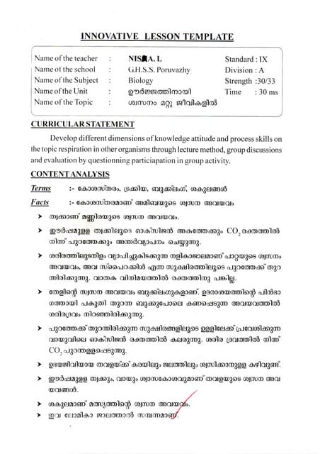INNOVATIVE LESSON PLAN | PDF