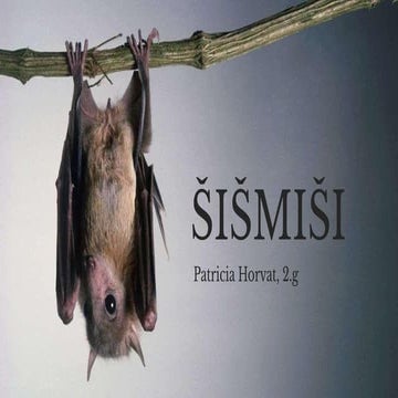 ŠIŠMIŠI(1).pdf 1241241241244124141241412 | PDF