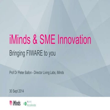 iMinds & SME Innovation | PPTX | Business | Business and Finance