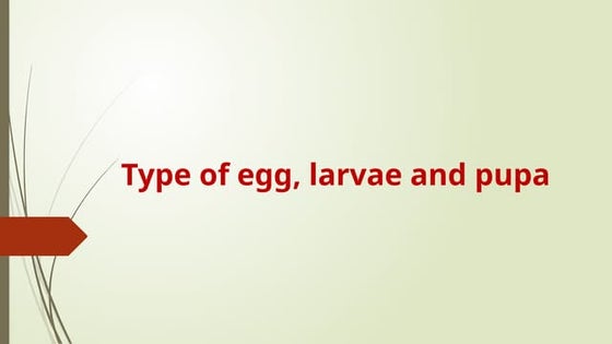 Types of Insect larvae | PPT