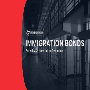 Immigration Bond: for release from Jail or Detention | PDF