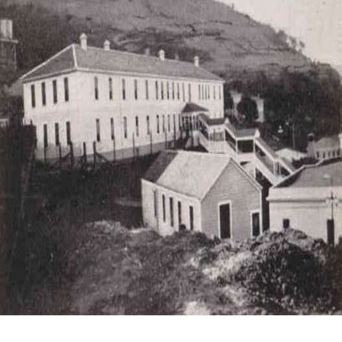 Riley_immigration | PPT