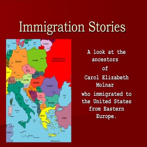 Immigration stories | PPT