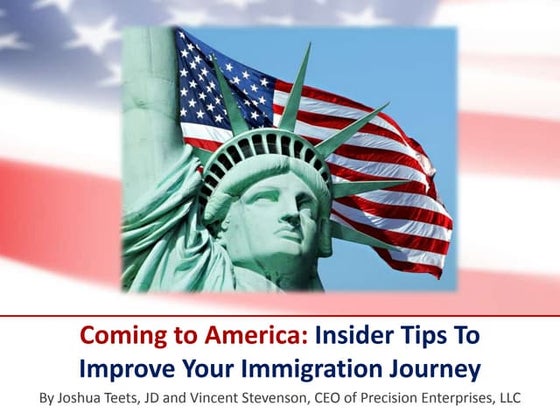 The Immigration Process Infographic | PDF