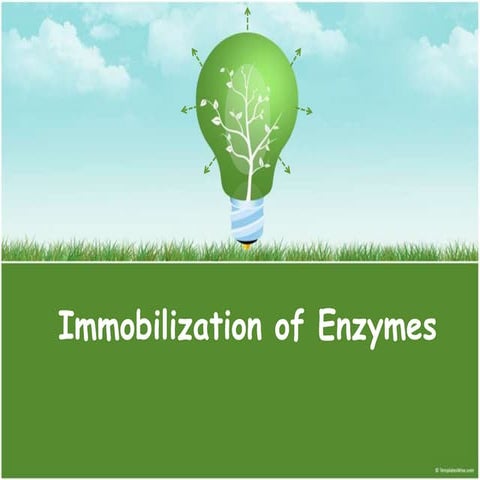 enzyme immobilization | PPT