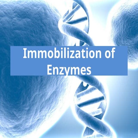 Immobilization of enzymes .pptx