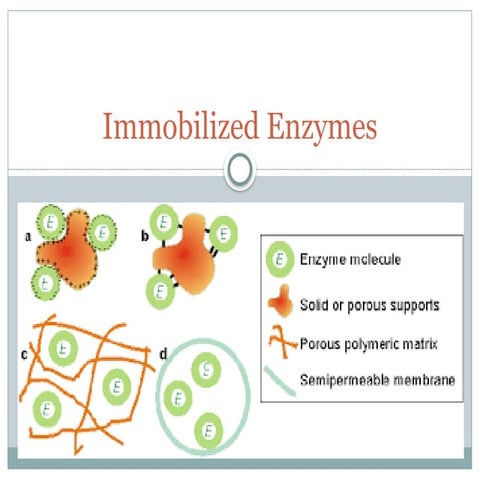 Immobilized enzymes with respect to food | PPTX
