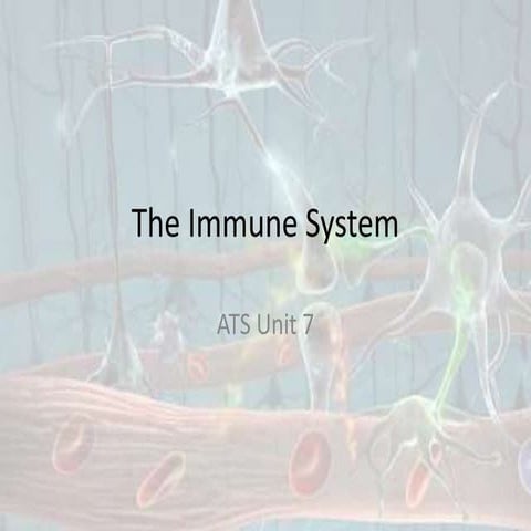 Immune System for Essentials of Healthcare | PPT